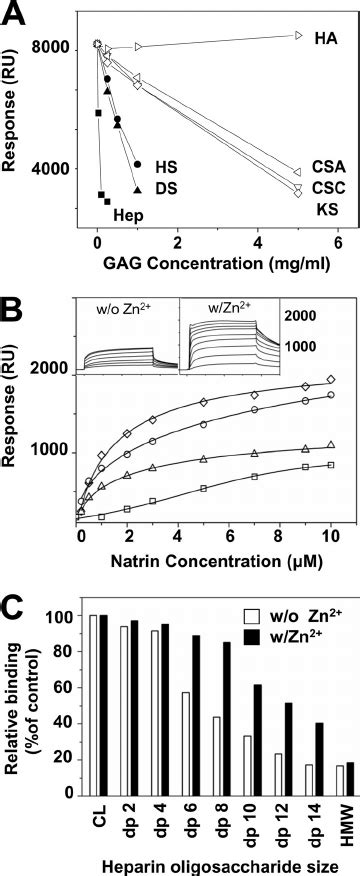 Augmented Effects Of Zn 2 ؉ Ion On Natrin Induced Icam 1 Vcam 1 And