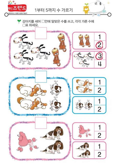 1~5까지 수 가르기 키즈랜드 몬테소리 활동 유치원 숫자 수학 활동
