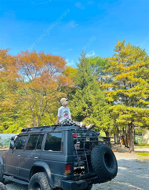 갤로퍼1 롱바디 리스토어 수동 디젤 검사완료 기타 국산차 중고나라