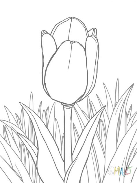 10 Kostenlose Tulpe Ausmalbilder Zum Ausdrucken Gratis