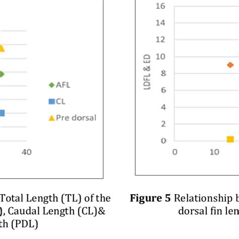 Relationship Between Total Length TL Of Fish With Standard Length Download Scientific Diagram