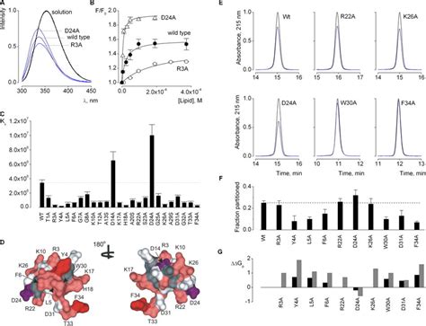 Effect Of Sgtx1 Mutations On Partitioning Into Membranes A Toxins