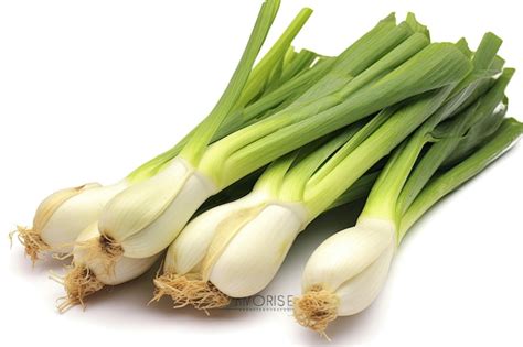 Premium Photo Leeks Photo Realistic Illustration Generative Ai