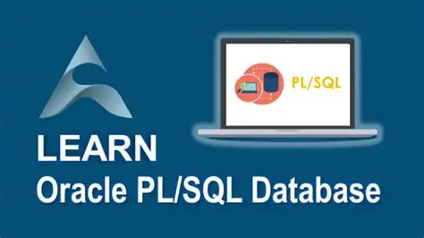 Oracle Database 19c Plsql Alpha Tutorials Learning Hub