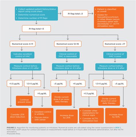 Treatment Of Pituitary Dependent Hyperadrenocorticism