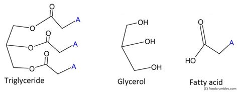 What Is Lard More About The Science Of Fats Foodcrumbles