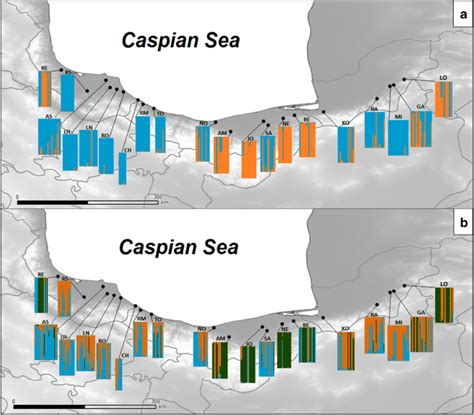 genetic clusters obtained with discriminant analysis of principal