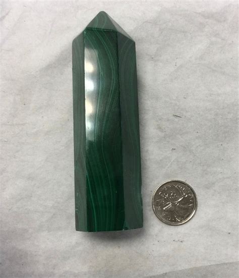 Malachite Point 4” Planet Botanix Ottawa