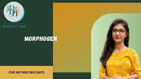 Morphogens Youtube