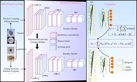 The General Framework Of Semi Supervised Medical Image Classification