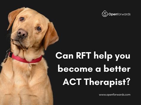 Can Rft Help You Become A Better Act Therapist