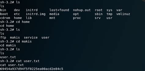 HackTheBox Lame Retired Walkthrough Constellations