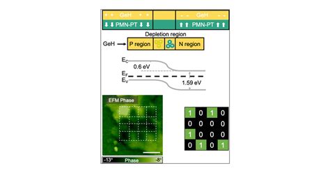 Controllable Modulation Of The Electronic Properties Of A Two Dimensional Ambipolar