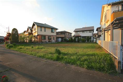 住宅街の空き地2 空き地の雑草 空き地図鑑