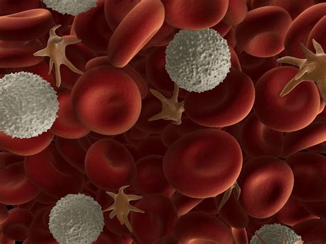A Brief Review On The Study Of Blood And Its Different Components