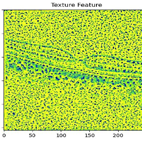 6 representation of shape feature extracted from the input image