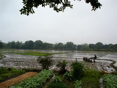 春雨绵绵摄影图片广东龙门县风光摄影 爱恨果 太平洋电脑网摄影部落