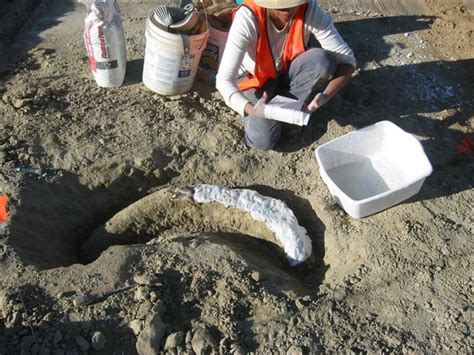 Ecorp Consulting Inc On Linkedin Paleontologicalservices Culturalresources