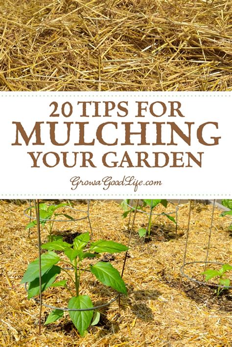 20 Garden Mulching Tips From Seasoned Growers