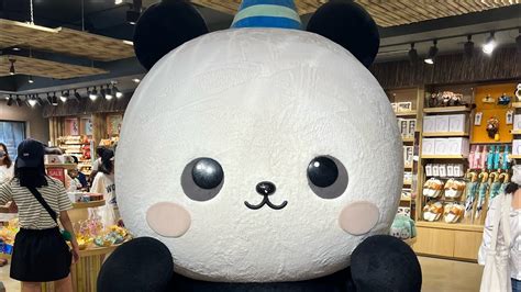 🇺🇸미국비자인터뷰🐼푸바오 보러 에버랜드다녀왔어요생일기념 ️서울여행 Youtube