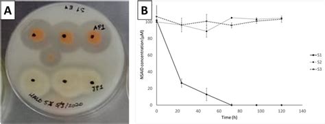 Secondary Screening Of Microorganisms A Protease Producing
