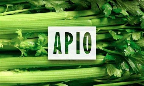 Todo Sobre El Apio Plantas
