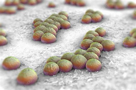 Superbug Mrsa Artwork Stock Image C0203361 Science Photo Library