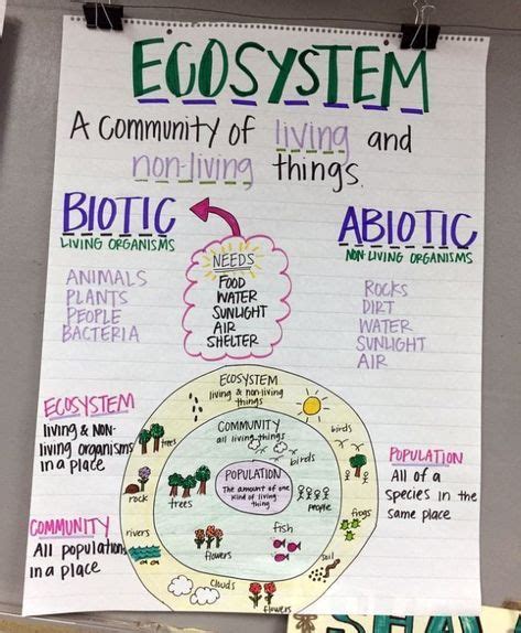 Density Lab Interactive Science 6th Grade Science Science Lessons