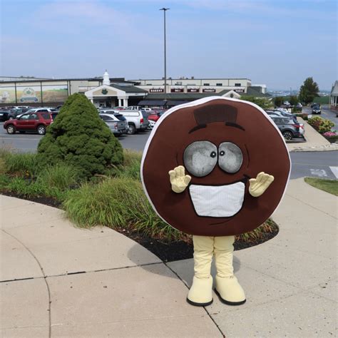 Information Shady Maple