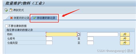Sap Mm Mm17物料主数据批量扩充视图sap Mm17 Csdn博客