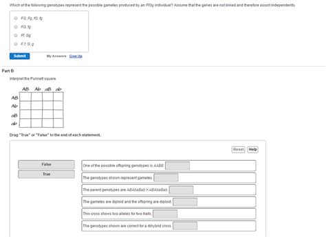 Solved Which Of The Following Genotypes Represent The Chegg