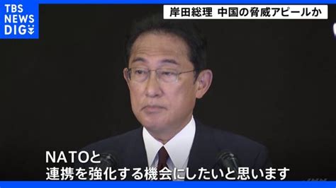 きょうからnato首脳会議 日本の総理として初出席、岸田総理の狙いとは？ 官邸キャップ報告｜tbs News Dig │ 【気ままに】ニュース速報