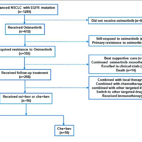 Pdf Osimertinib Rechallenge With Bevacizumab Vs Chemotherapy Plus