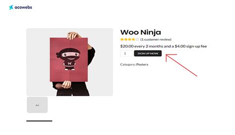 Maximize Your Revenue Potential With Woocommerce Subscription
