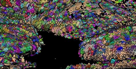 LiDAR Drone Tree Surveying Lidar Drone Australia