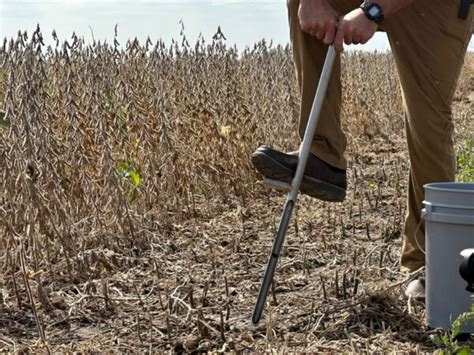 Calculating The Impacts Of Soybean Cyst Nematode Brownfield Ag News