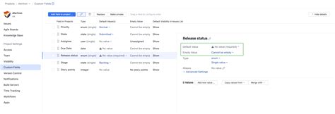 Manage Custom Fields Youtrack Server Documentation