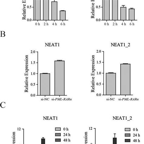 Lncrna Neat1 Is Repressed In Cells Expressing Pml Rarα And Upregulated