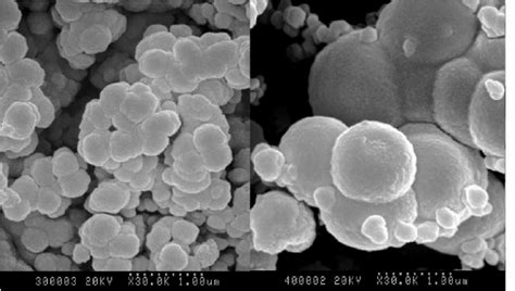 Sem Micrograph Of Tio 2 Download Scientific Diagram