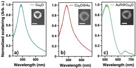 Typical Correlative Single Particle Scattering Spectra Of Pristine Cu 2