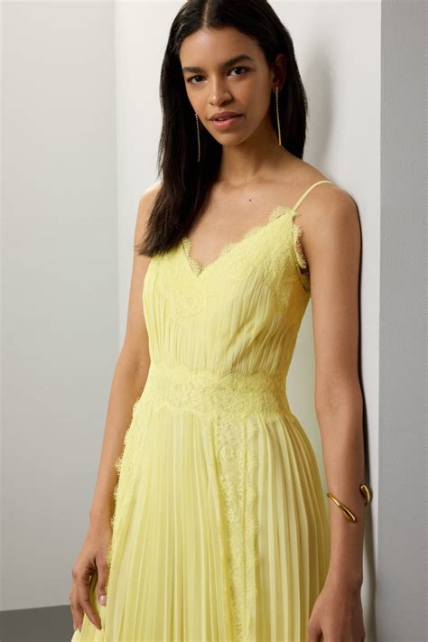 Chiffon Lace Gown By Zac Posen Rent The Runway