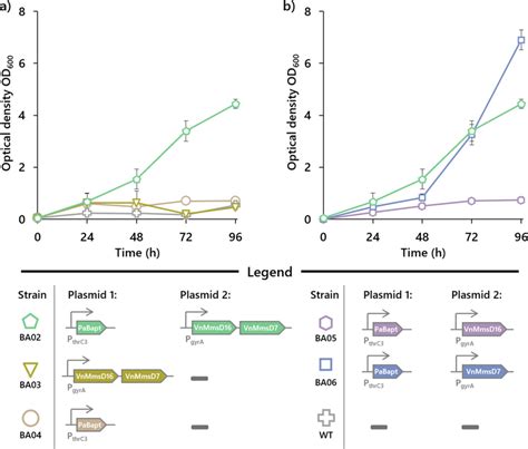Overexpression Of A P Aeruginosa β Alanine Pyruvate Transaminase