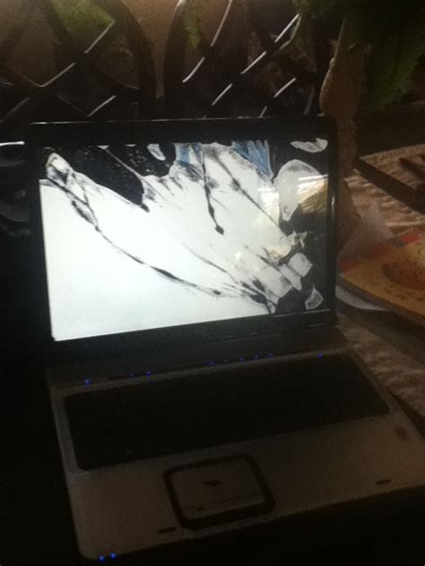 My Sister Fell Downstairs And Broke The Laptop
