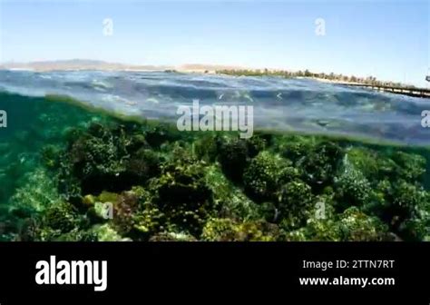 Surface Split Stock Videos And Footage Hd And 4k Video Clips Alamy