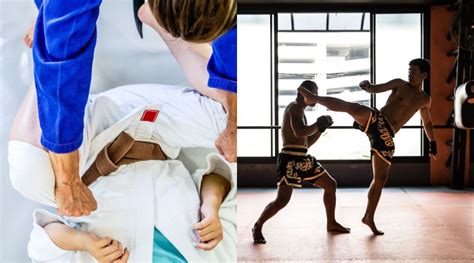 Bjj Vs Muay Thai Which Is Better Rolling Around Bjj