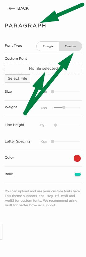How To Set A Custom Font For Text And Rich Text Shortcodes In Massive