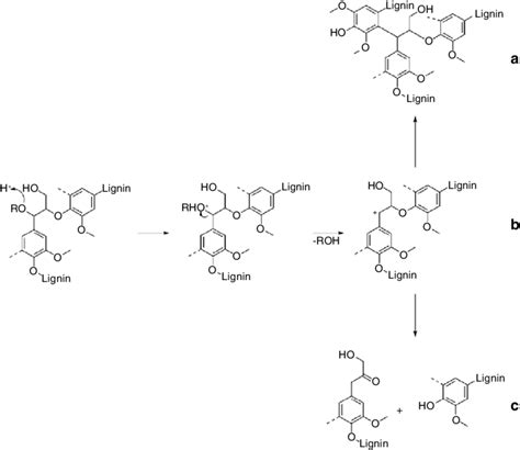 The Competing Polymerizing And Depolymerizing Steps Suggested To