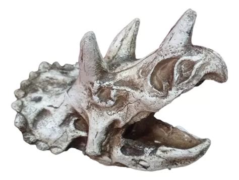 Figura Resina Acuario Craneo Dinosaurio Triceratops 14x12cm MercadoLibre