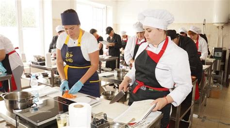 Реформа шкільного харчування новий підхід до підготовки кухарів Читайте на Ukr Net