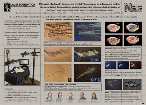 Pdf Ultraviolet Induced Fluorescence Digital Photography As A Diagnostic Tool For Discovery